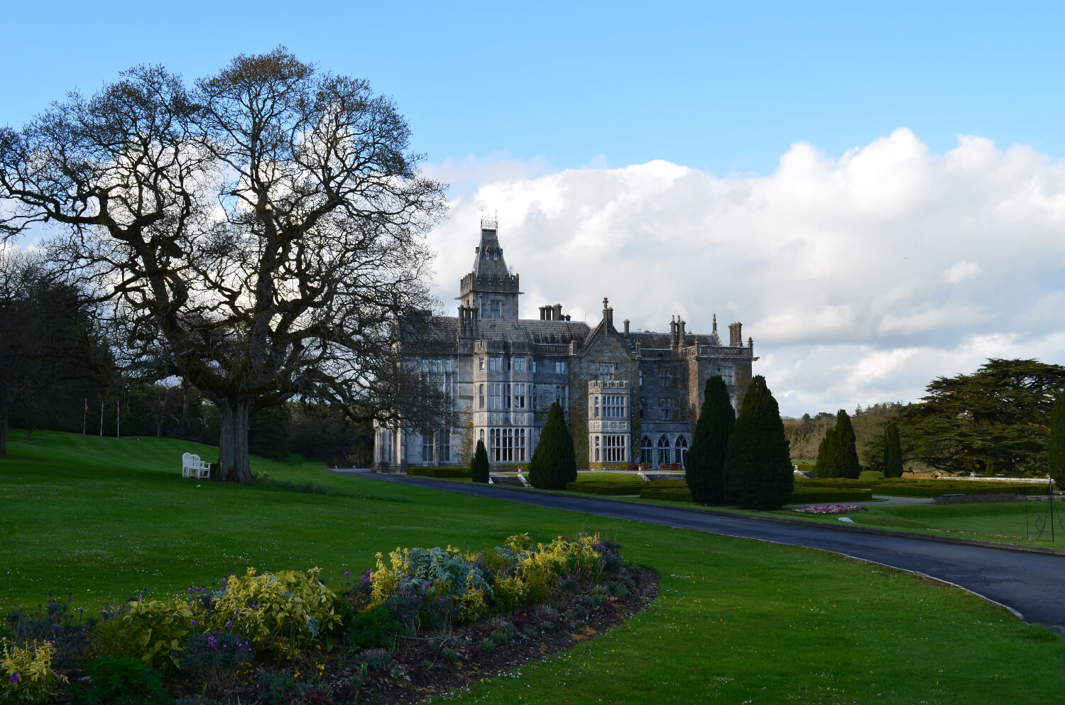 Molloy Ireland Honors 2023 - CelestialVoyagers